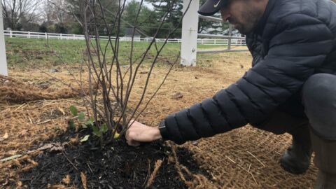 Home - Lancaster Clean Water Partners