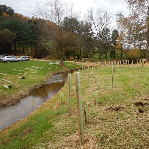 Lancaster Clean Water Fund - Lancaster Clean Water Partners