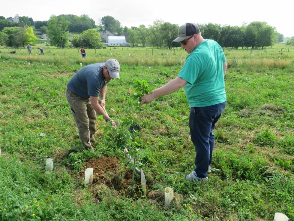 2022 Lancaster Clean Water Fund Grantees Announced - Lancaster Clean ...