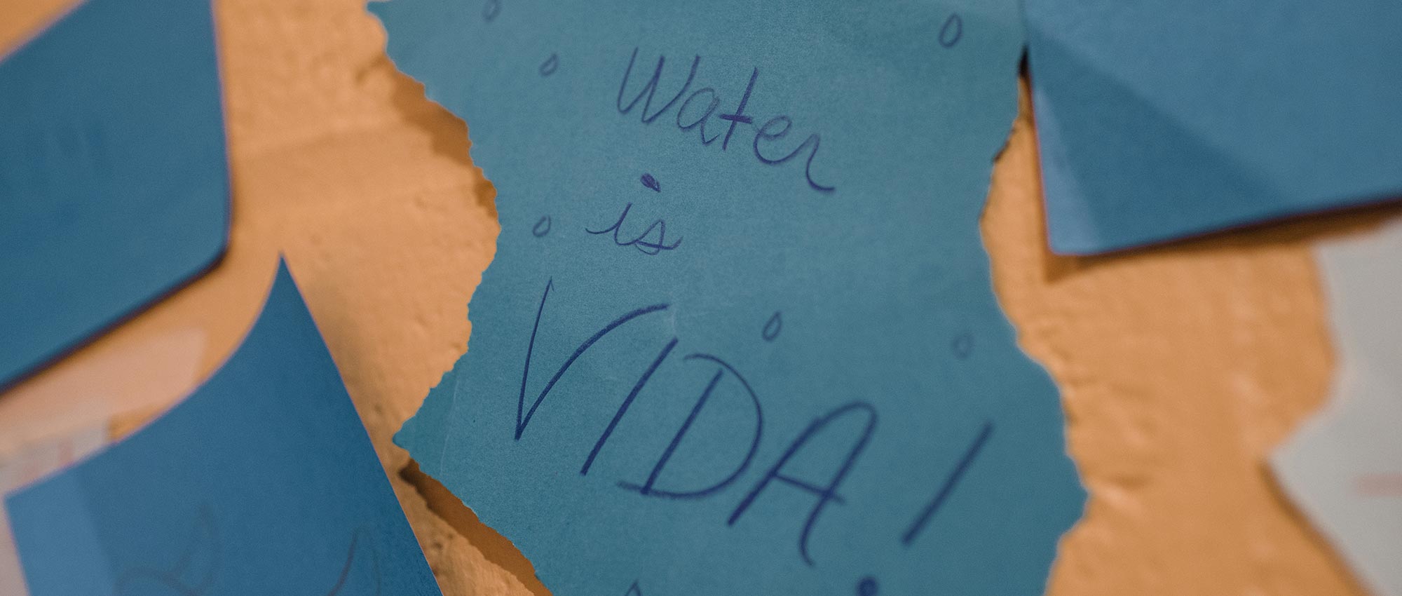 News - Lancaster Clean Water Partners