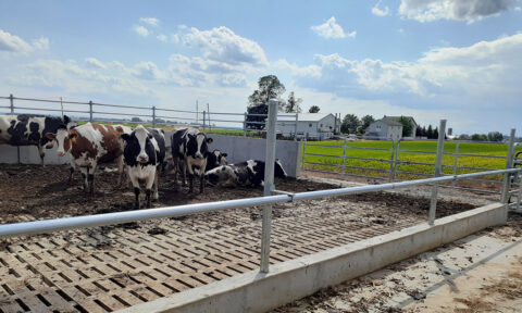 Home - Lancaster Clean Water Partners