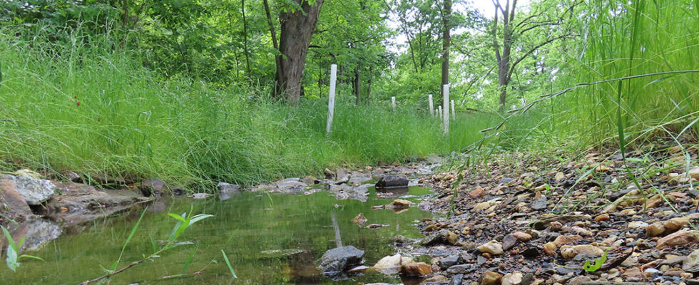 Countywide Action Plan - Lancaster Clean Water Partners