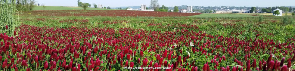 Enhancing Soil Health with Cover Crops: A Guide for Landowners ...